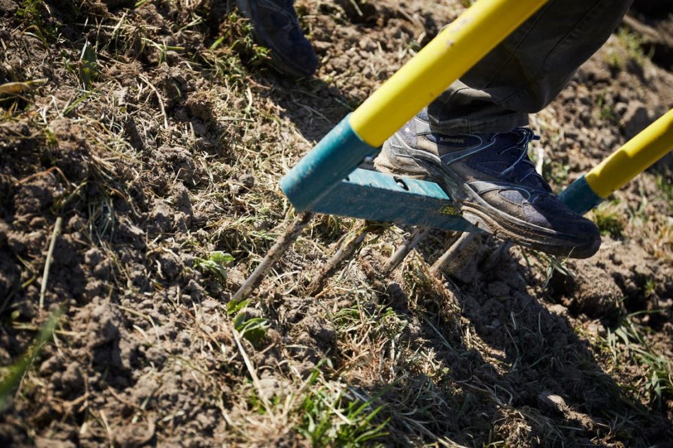 „Randenbandi“ zeigt auch wie es funktionieren kann | LONANA
